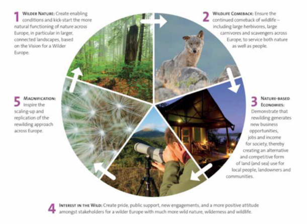 Rewilding in a European Context | IJW