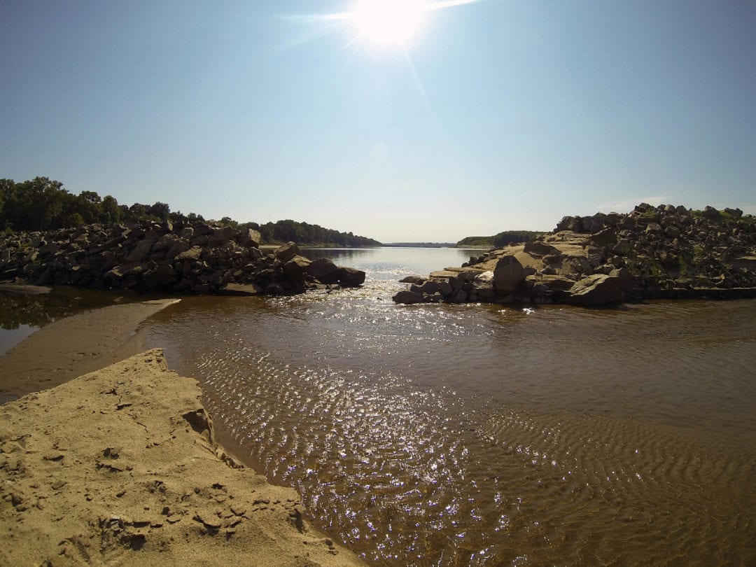 Shipland Wildlife Management Area | IJW