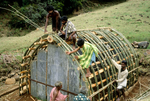 The Toda People: Stewards of Wilderness and Biodiversity | IJW