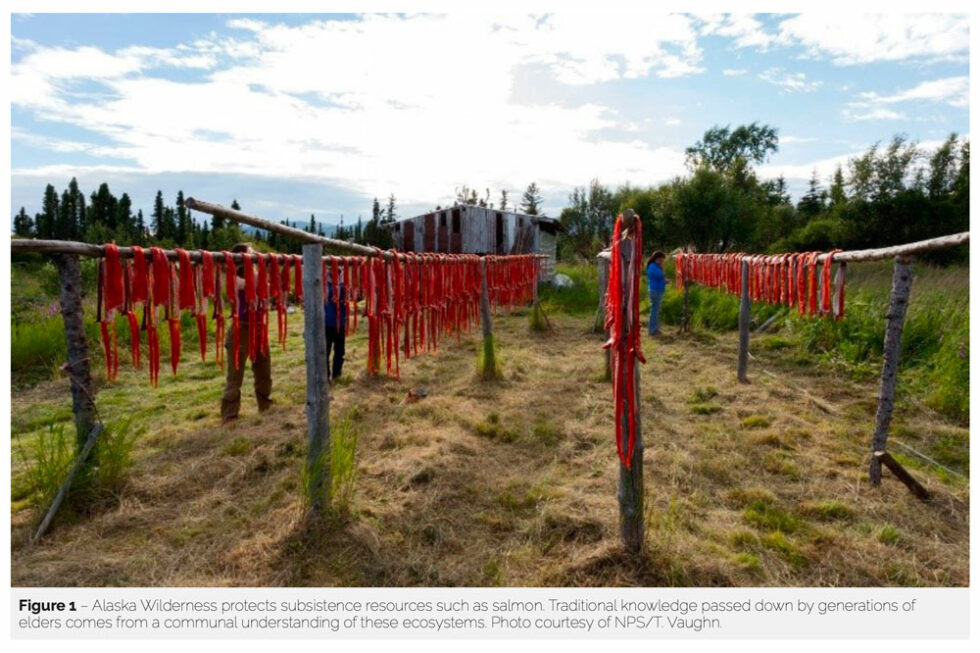 Reimagining the Wilderness Concept for a Diverse America: A Case Study ...