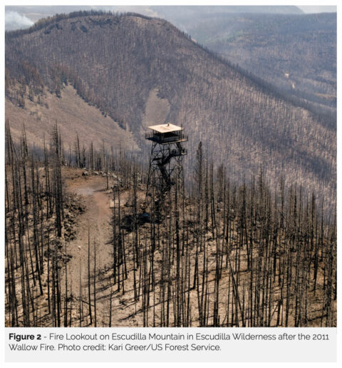 Revisiting Human’s Role in Wilderness